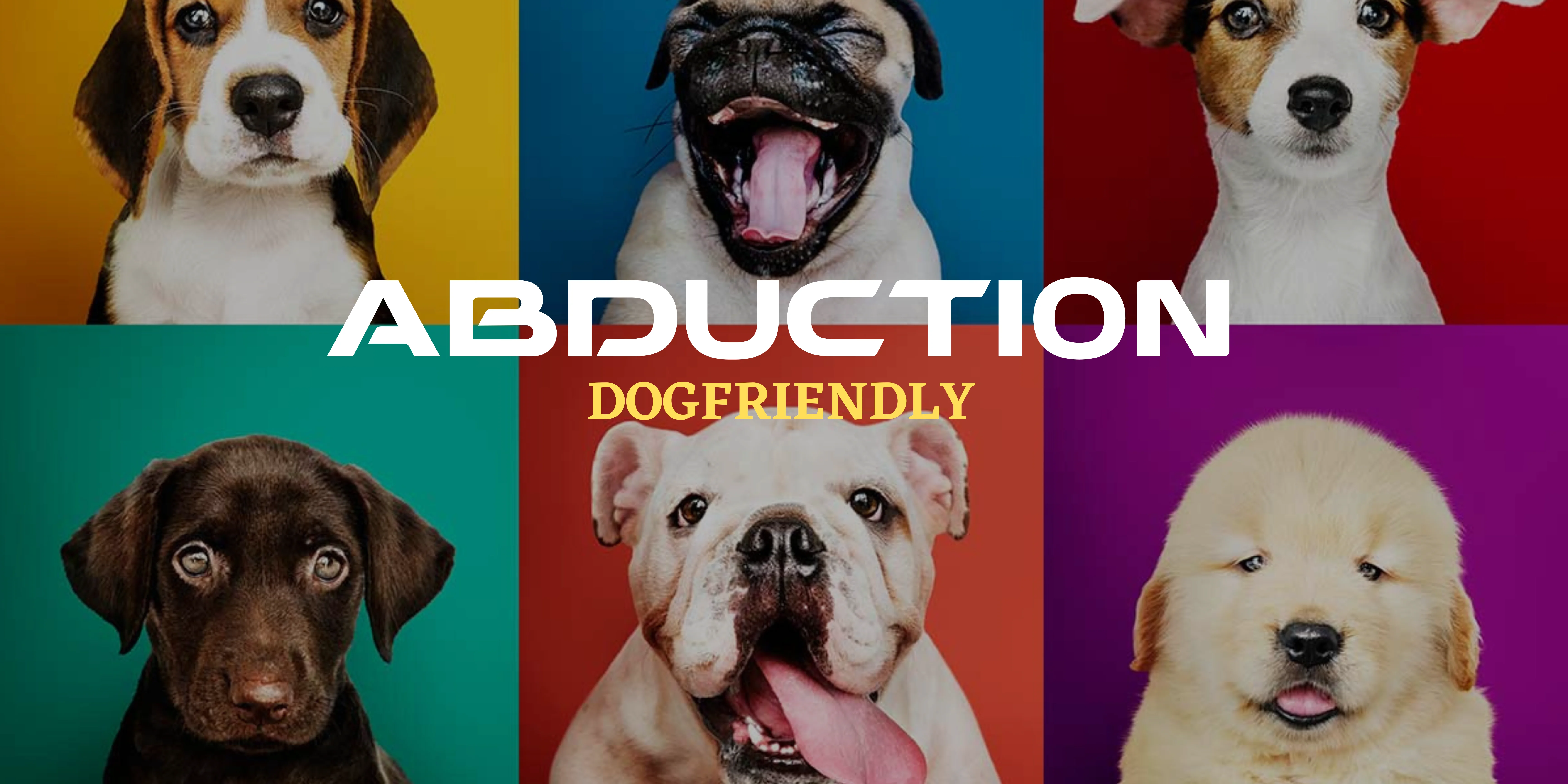 Blog Home - Abduction